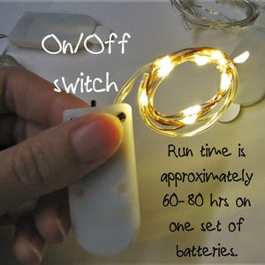 VALUE PACK Fairy Lights With Replaceable Batteries. You Pick Quantity ...