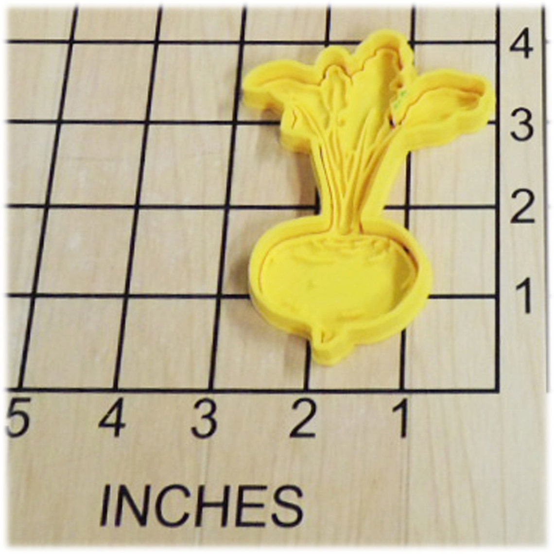 Turnip Radish Vegetable Fondant Cookie Cutter and Stamp 1398 | Etsy