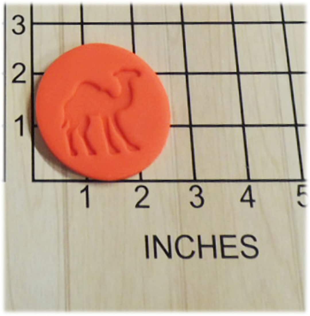 Hump Day Camel Shaped Fondant Cookie Cutter and Stamp #1275 - Etsy