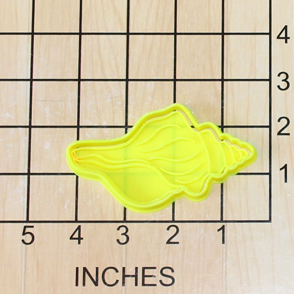 Conch Seashell 2 Shape Fondant Cookie Cutter and Stamp 1409 | Etsy