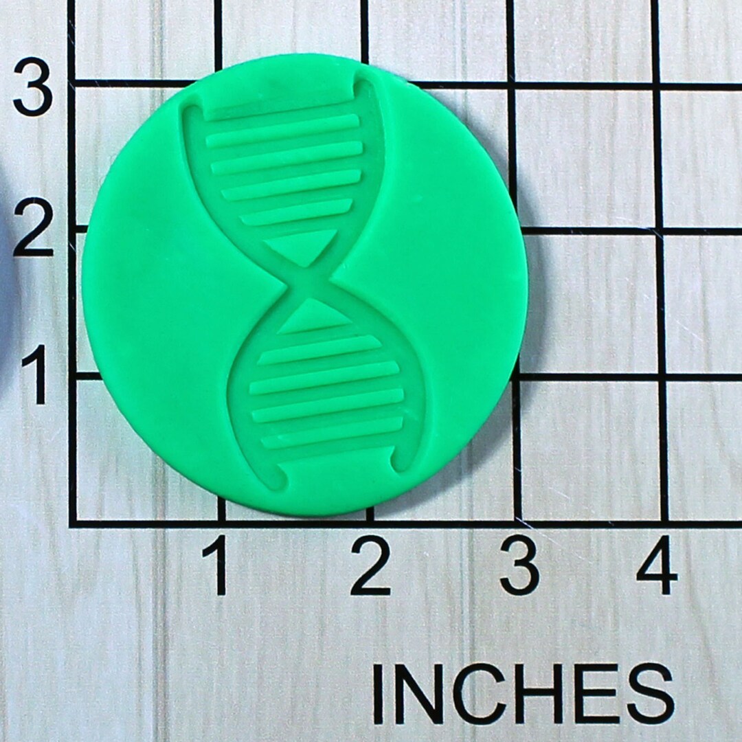 DNA Double Helix Fondant Cookie Cutter and Stamp #1533 - Etsy