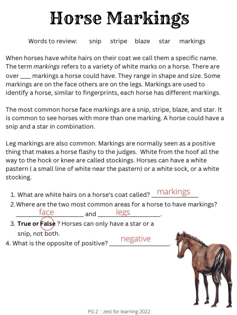 Reading for Horse Loving Kids. 8 Comprehension Pages With a Horse Theme ...