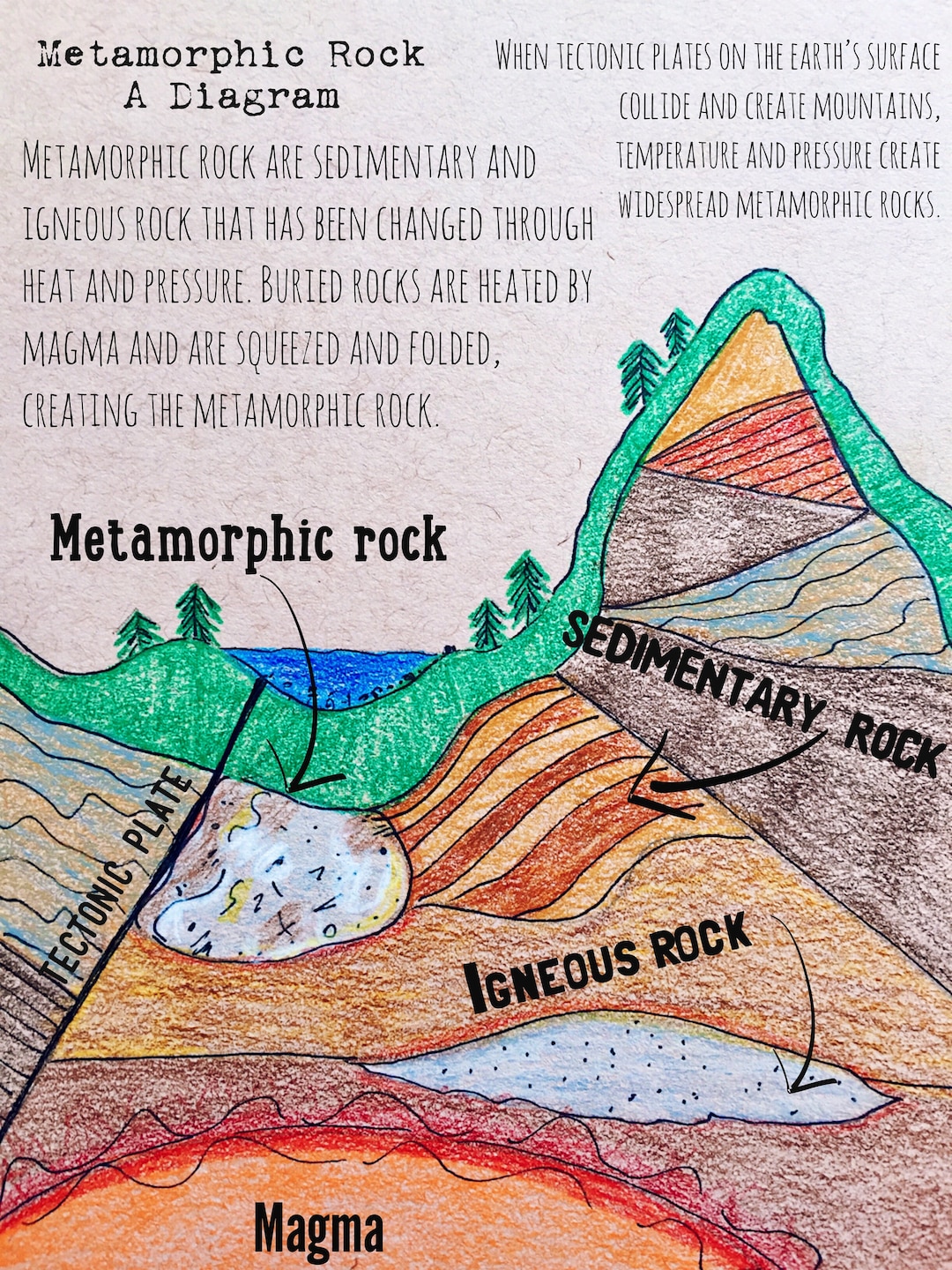 Metamorphic Rocks and Activity Cards Pdf - Etsy