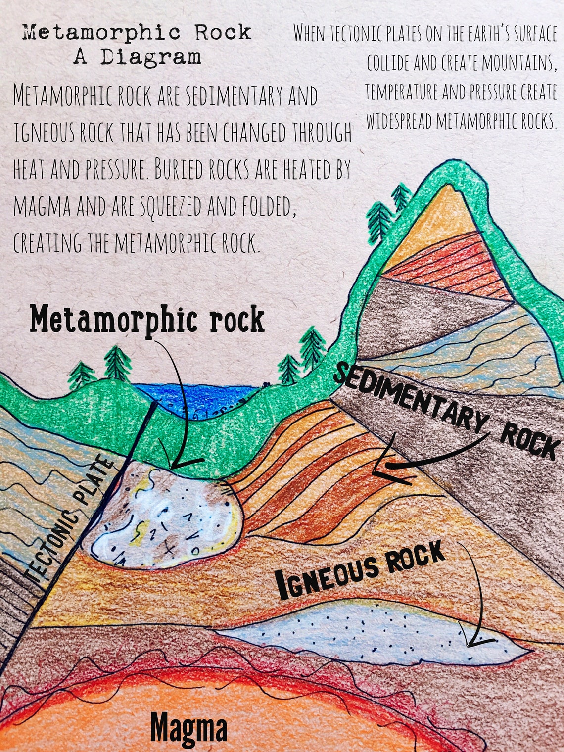 Metamorphic Rocks and Activity Cards Pdf - Etsy