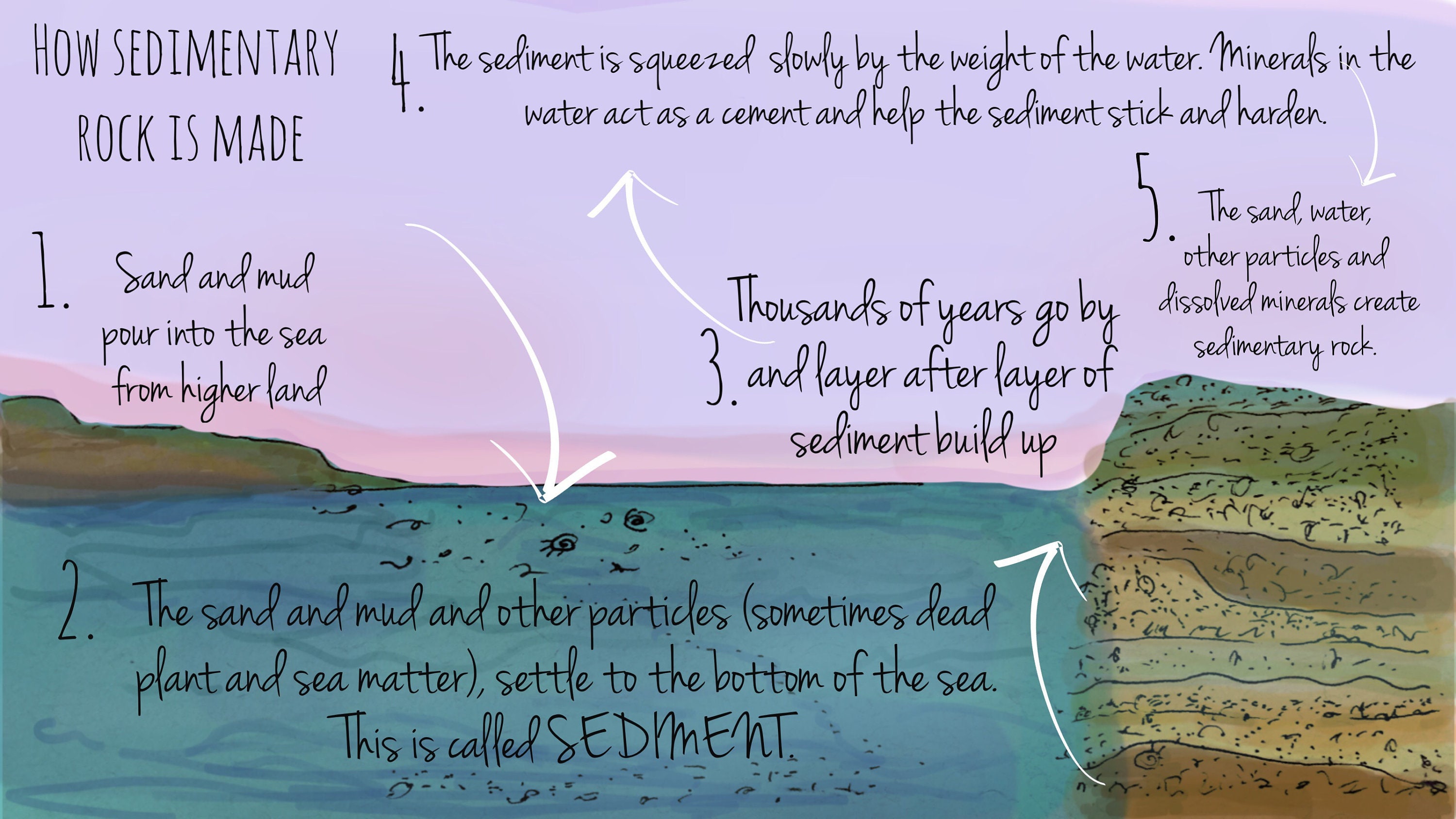 Sedimentary Rocks Diagram For Kids