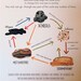 Rock Cycle Bulletin Board Kit | Rock Cycle Posters | Borders | Banners ...