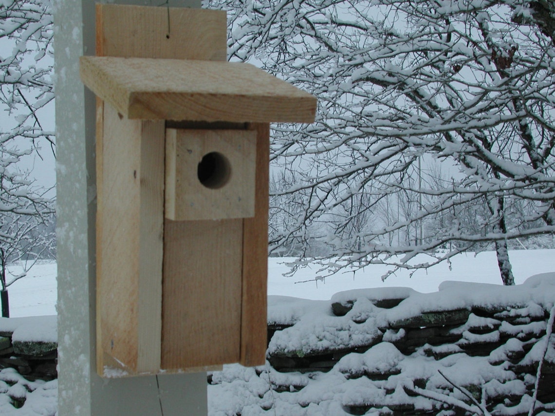 Bluebird House Bluebird Nesting Box Bird House Nesting Box - Etsy