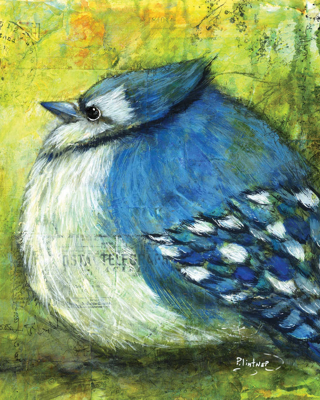 Blue Jay Fat Bird Art Print by Patricia Lintner - Etsy