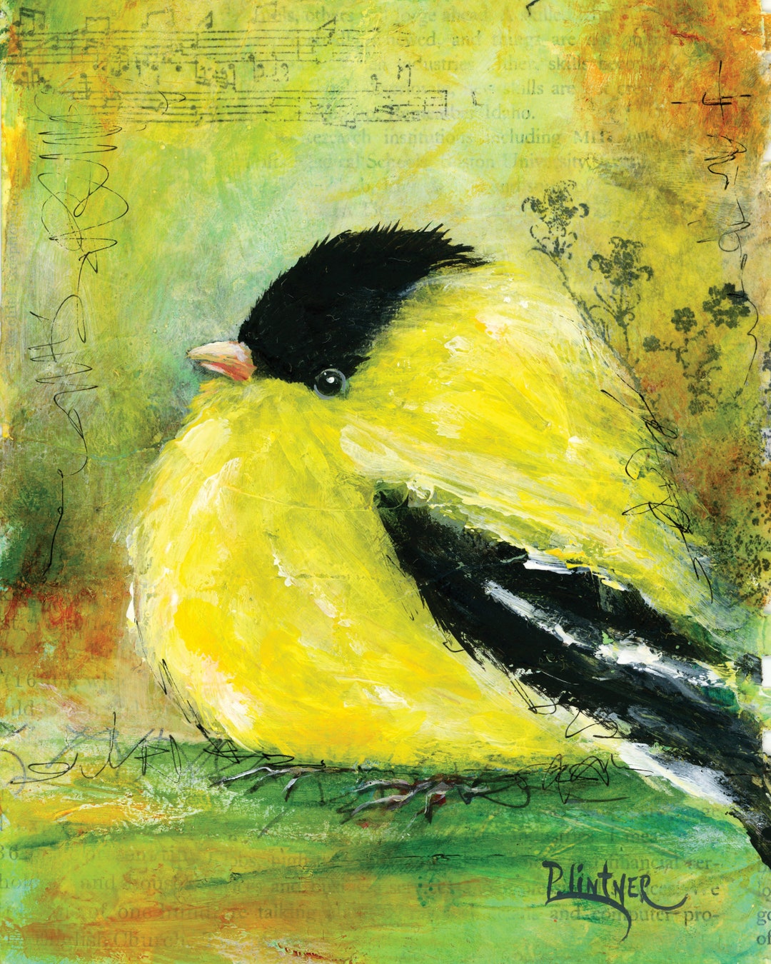 Goldfinch Fat Bird Art Print by Patricia Lintner - Etsy
