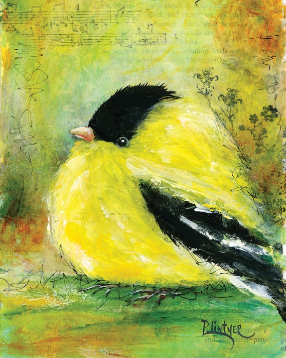 Goldfinch Fat Bird Art Print by Patricia Lintner | Etsy