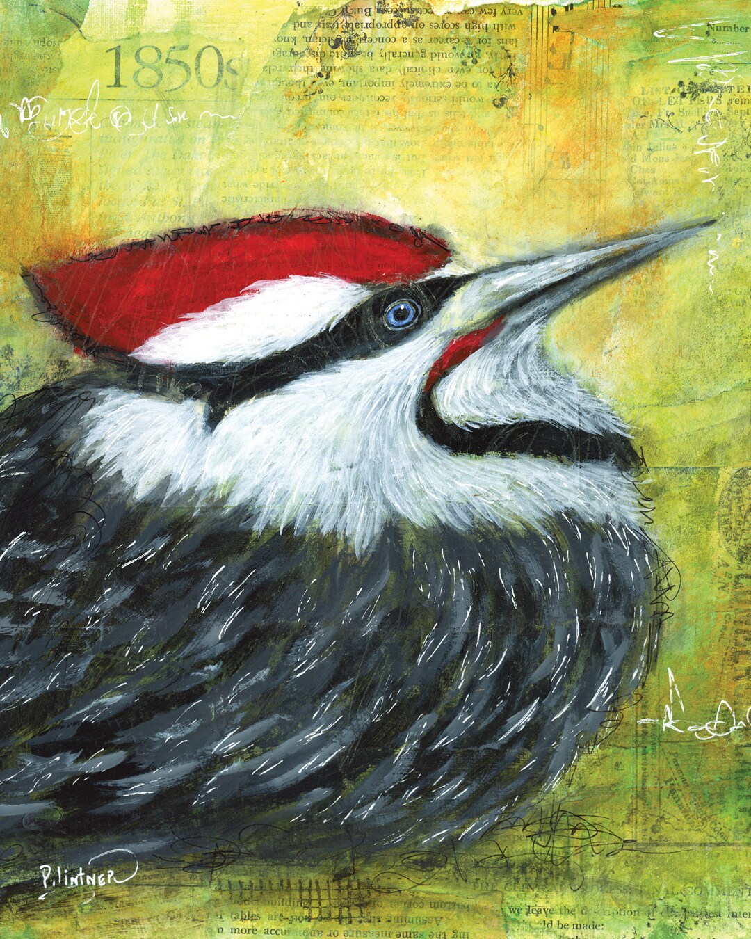 Plieated Woodpecker Fat Bird Art Print by Patricia Lintner - Etsy