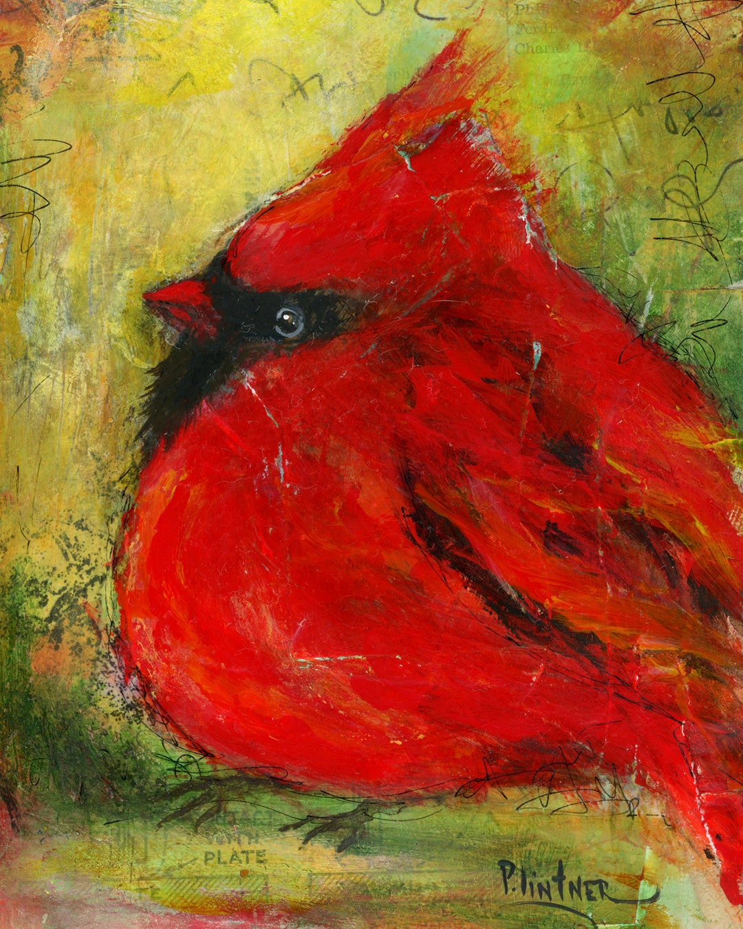 Fat Cardinal Fat Bird Art Print by Patricia Lintner - Etsy