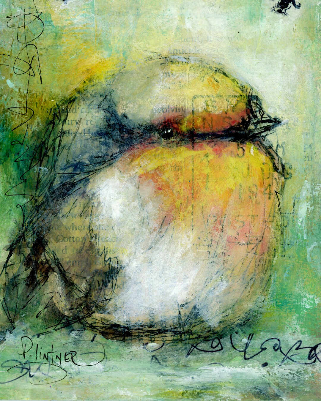 Fat Bird Fat Robin Art Print by Patricia Lintner - Etsy