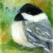 Fat Chickadee Fat Bird Art Print by Patricia Lintner - Etsy