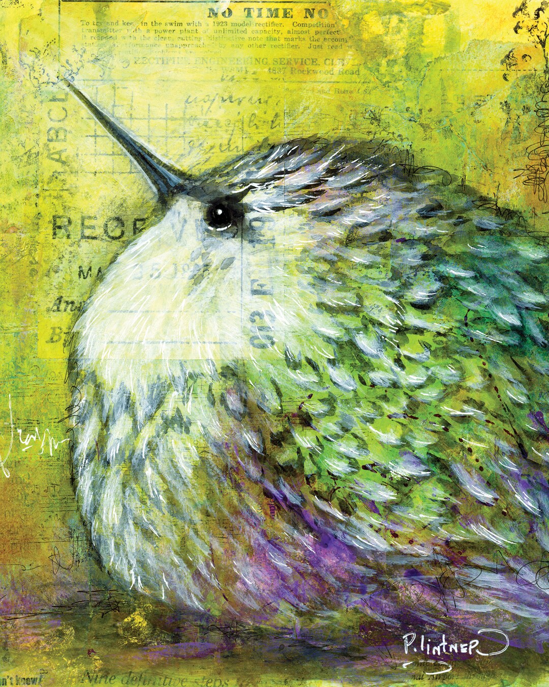 Hummingbird Print, Fat Hummingbird Art Print, Fat Bird - Etsy