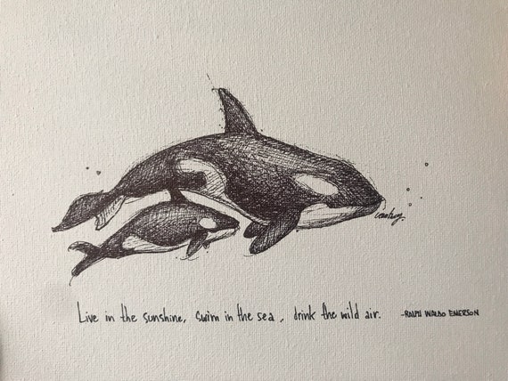 Orca Mother and Baby live in the Sunshine Swim in the Sea | Etsy