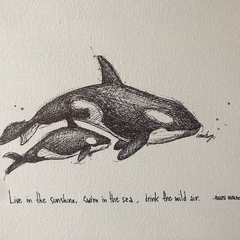 Orca - Etsy
