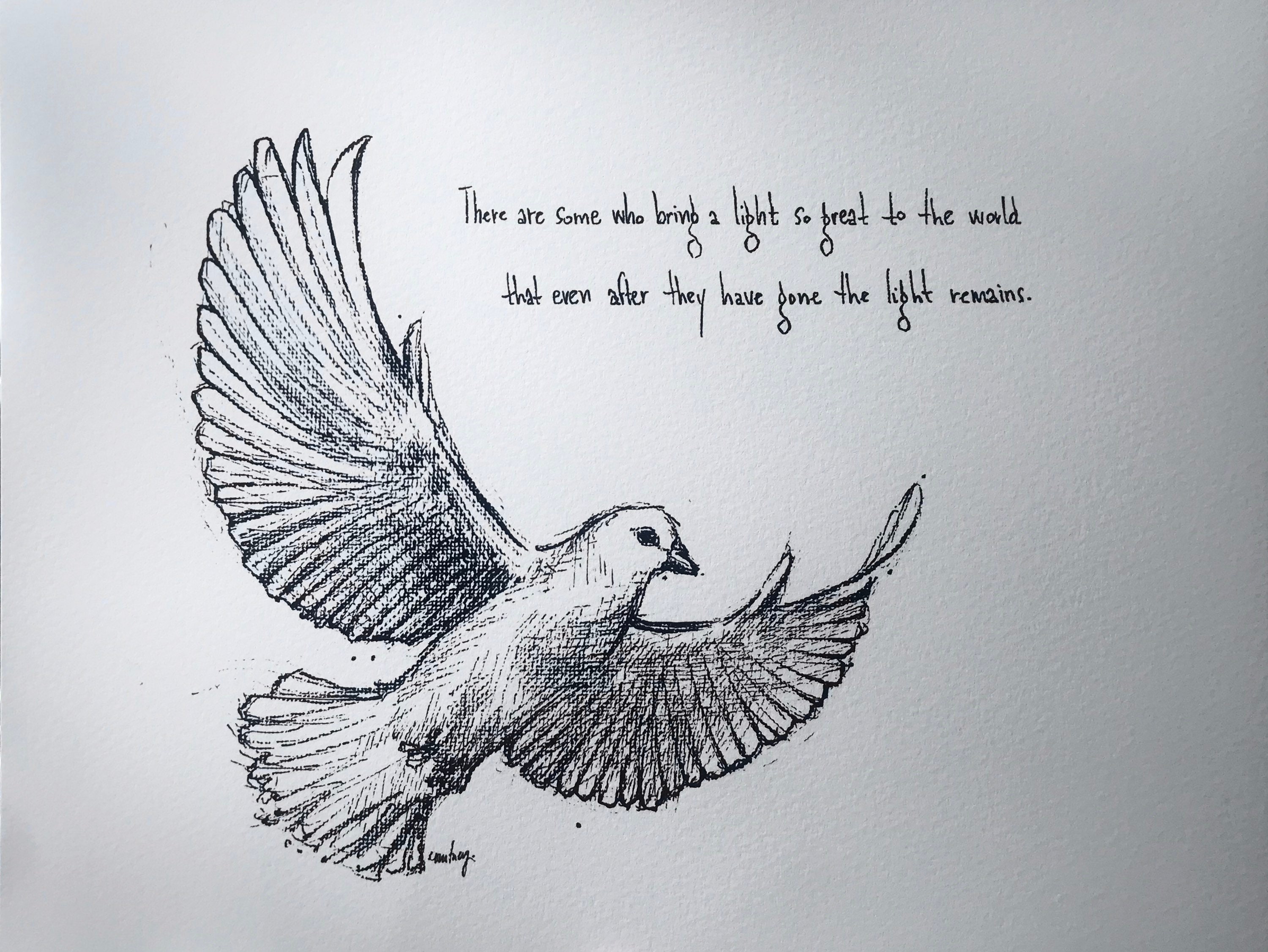 Love Dove Quotes