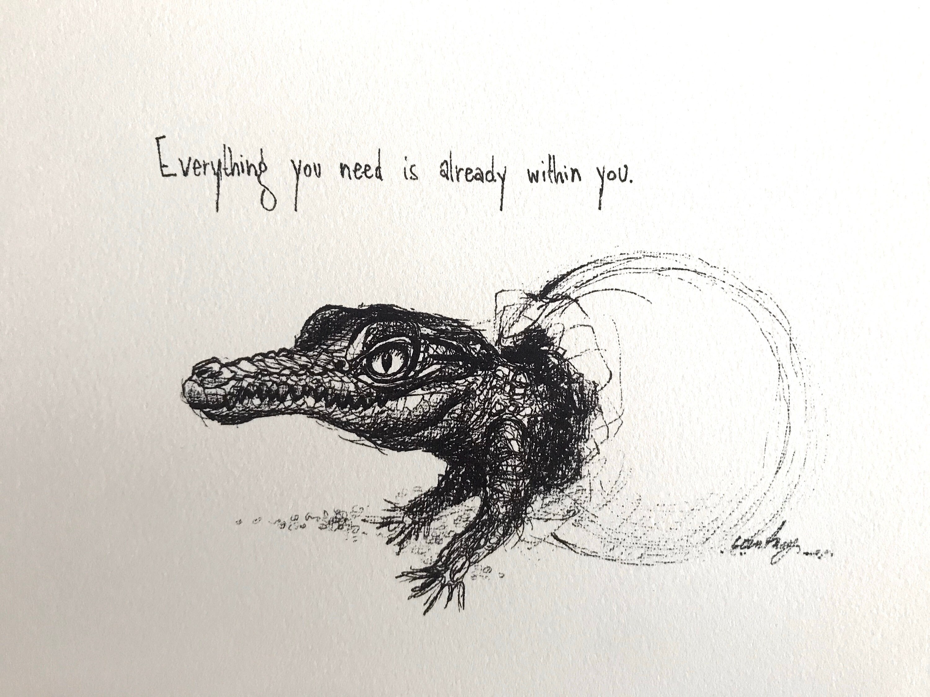 Baby Alligator Drawing