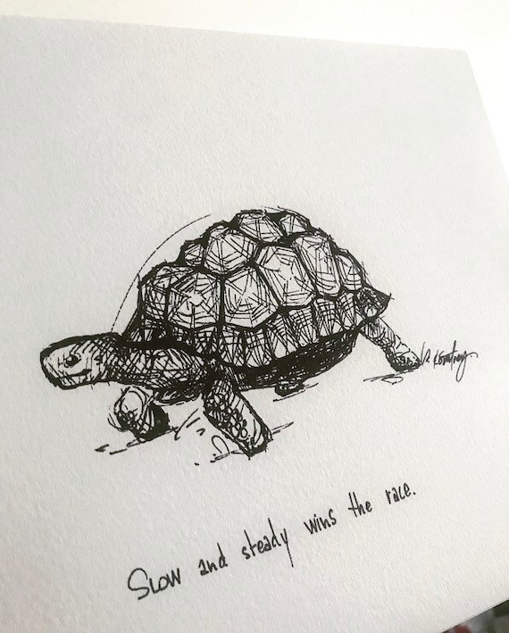 Slow Turtle Race