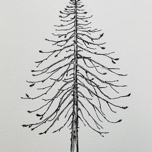 50-60 Guest Cedar Signature Tree. Sign Tree Branches to Form Needles ...
