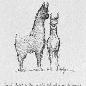 Llama Mama and Child "you Will Always Be the Miracle That Makes My Life ...