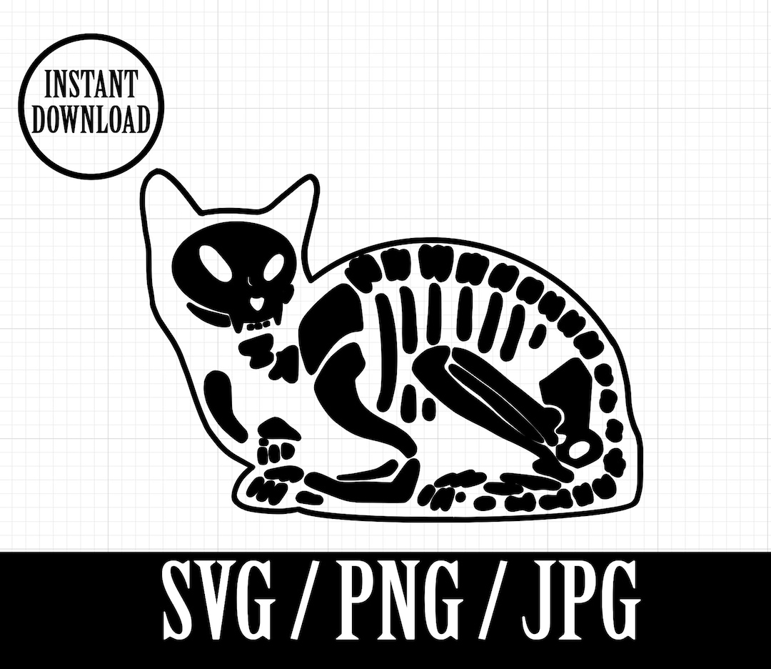 Spooky Skeleton Cat Halloween - SVG, Png, Jpg - Instant File Download ...