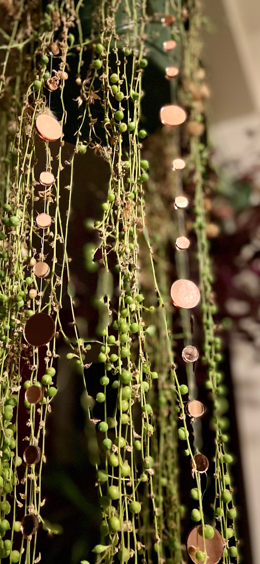 2ft. Round Rose Gold Mirror Strand - Mirror Garland - Etsy