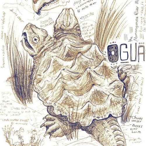 Ogua Two-headed Turtle Cryptid Art Print | Etsy