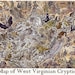 West Virginia Cryptozoology Monster Map - Etsy