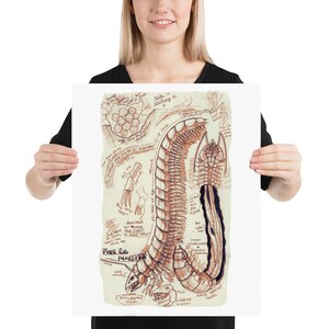 Fireco Monster, a Cryptid Centipede: Insect Bestiary Art Print - Etsy
