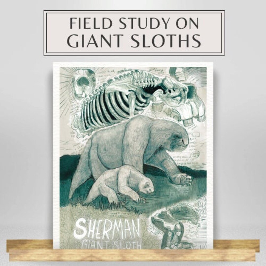 Ny's Giant Sloth Cryptid Anatomy Study Drawing & Print - Etsy