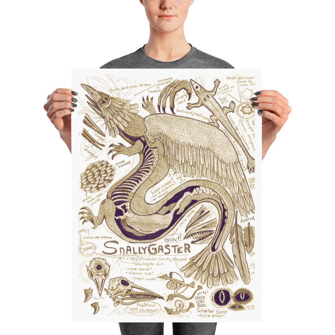 Snallygaster un dragon nord-américain : Cryptid Art Print - Etsy France