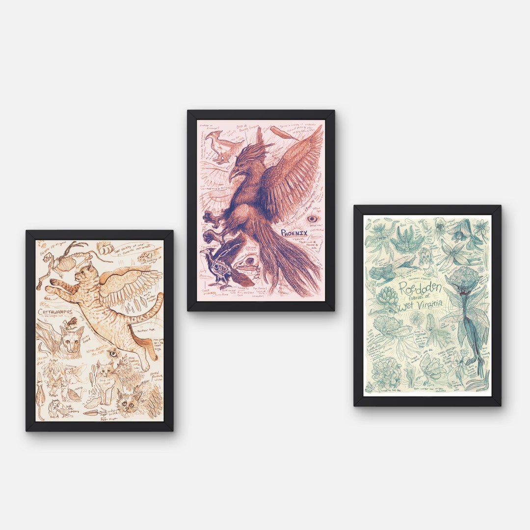 Mythical Creature Anatomy Art Phoenix, Fae, Cattawampus Journal Print ...