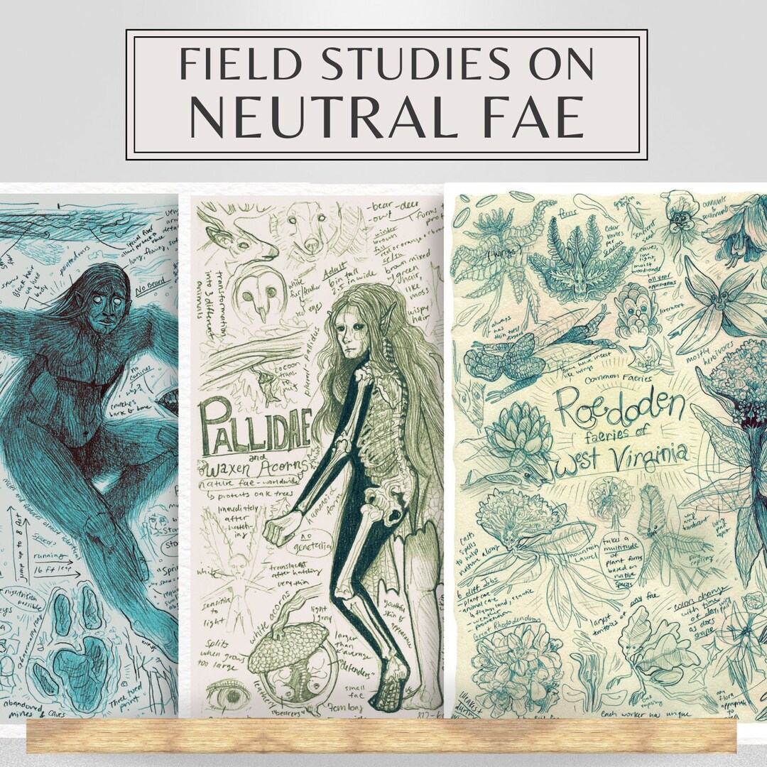 Mythical Fae Anatomy Study Drawings & Prints LARP Creature Journal - Etsy