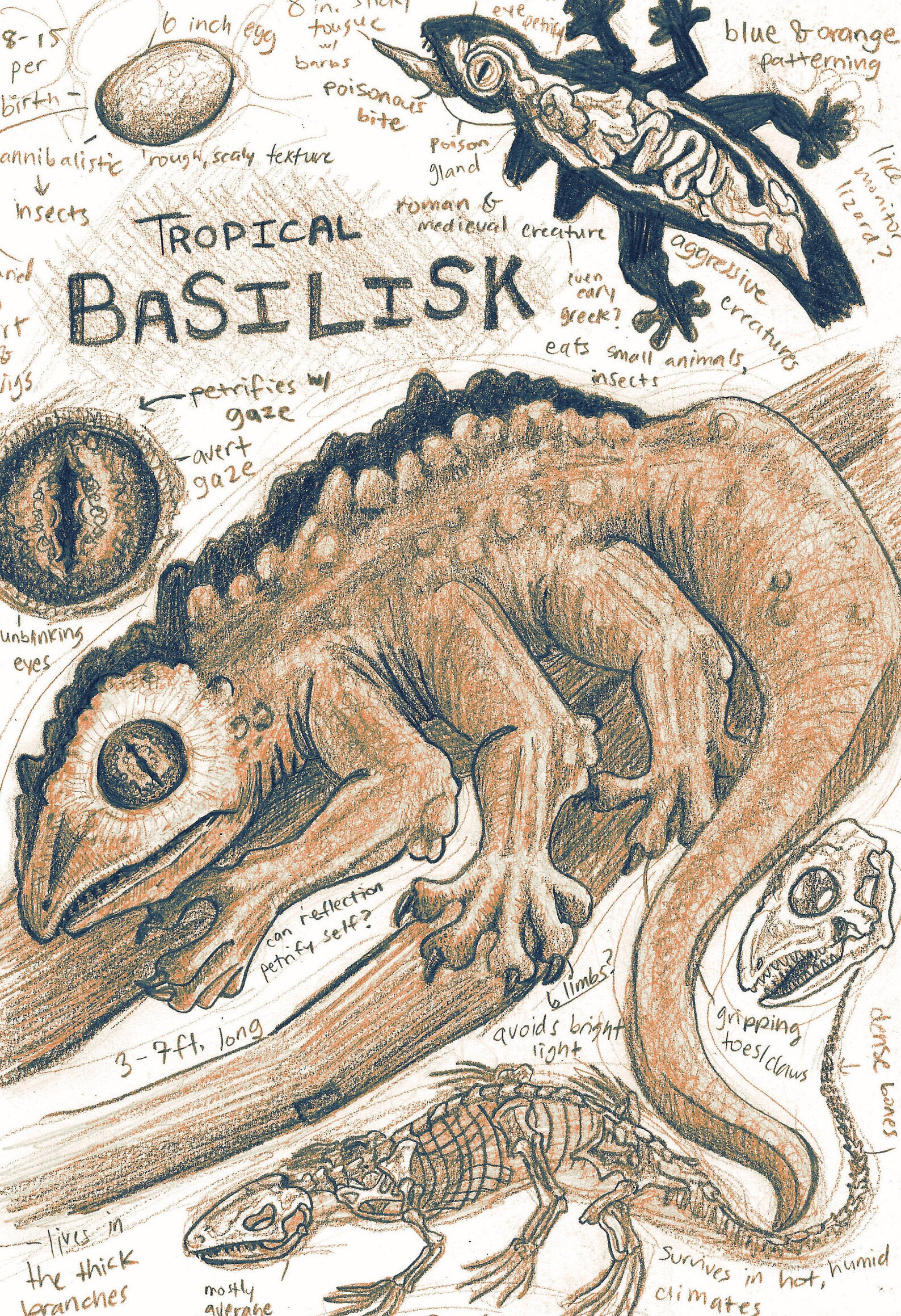 Tropical Basilisk: Fantasy Bestiary Print - Etsy