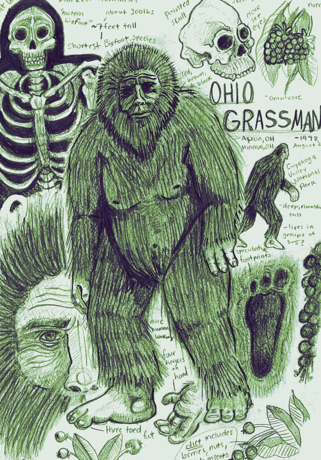 Grassman a Bigfoot Cryptid: Cryptozoology Bestiary Print - Etsy