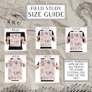 Ny's Giant Sloth Cryptid Anatomy Study Drawing & Print - Etsy