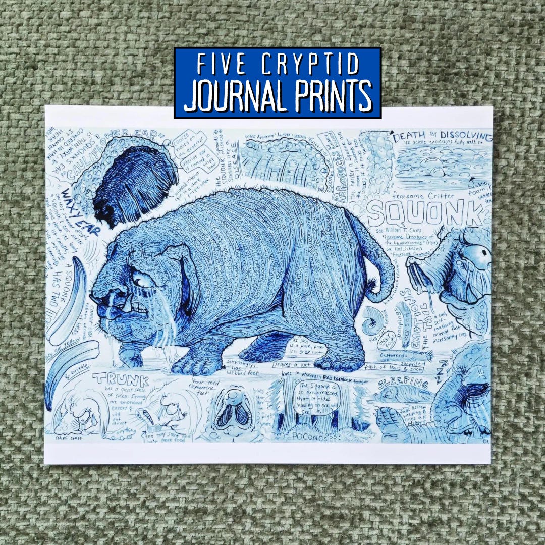 Cryptid Journal Sketch | Squonk, Vegetable Man, West Virginia Birds of ...