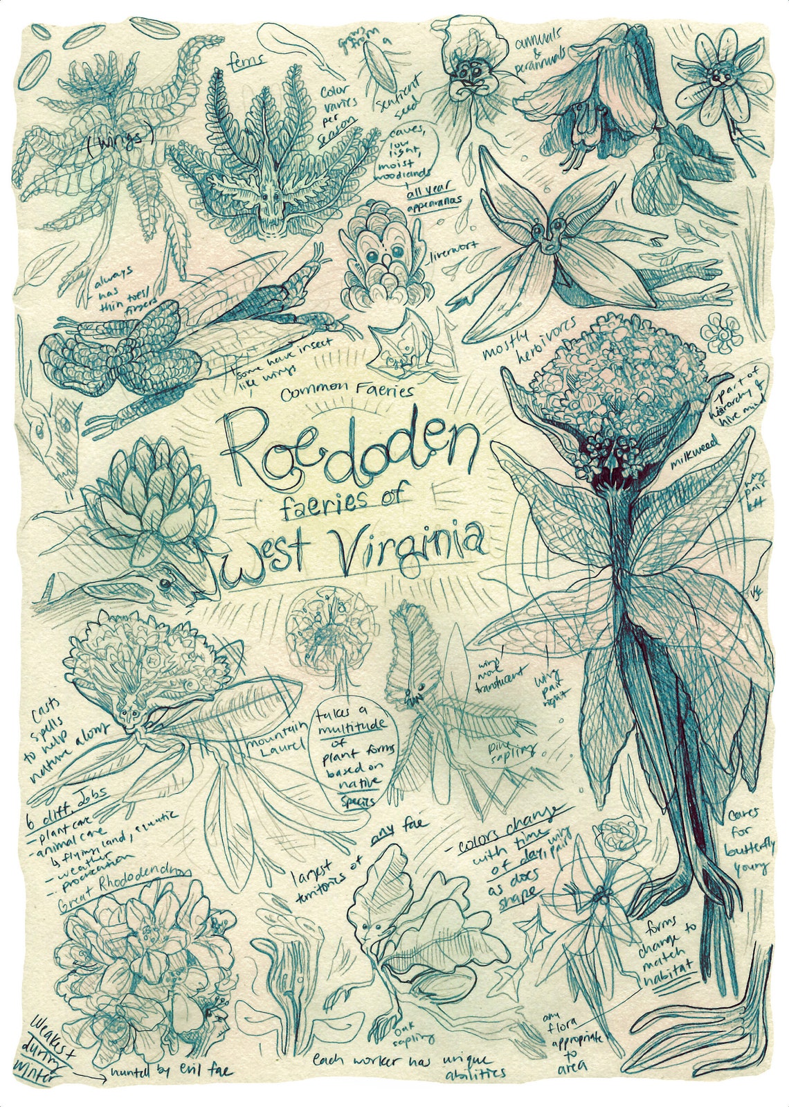 Fairy Creatures of Mythology & Folklore Fae Anatomy Study | Etsy