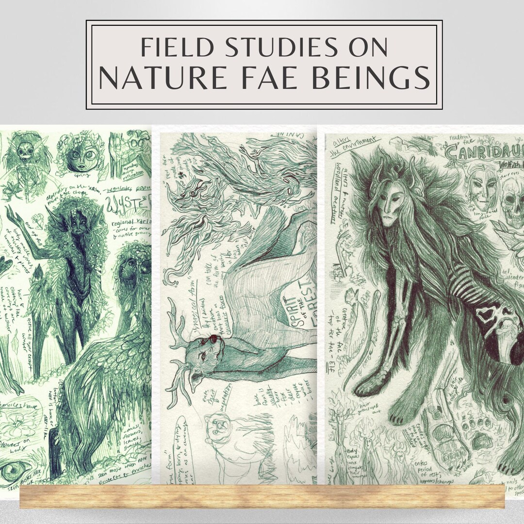 Mythical Fae Anatomy Study Drawings & Prints LARP Creature - Etsy Finland