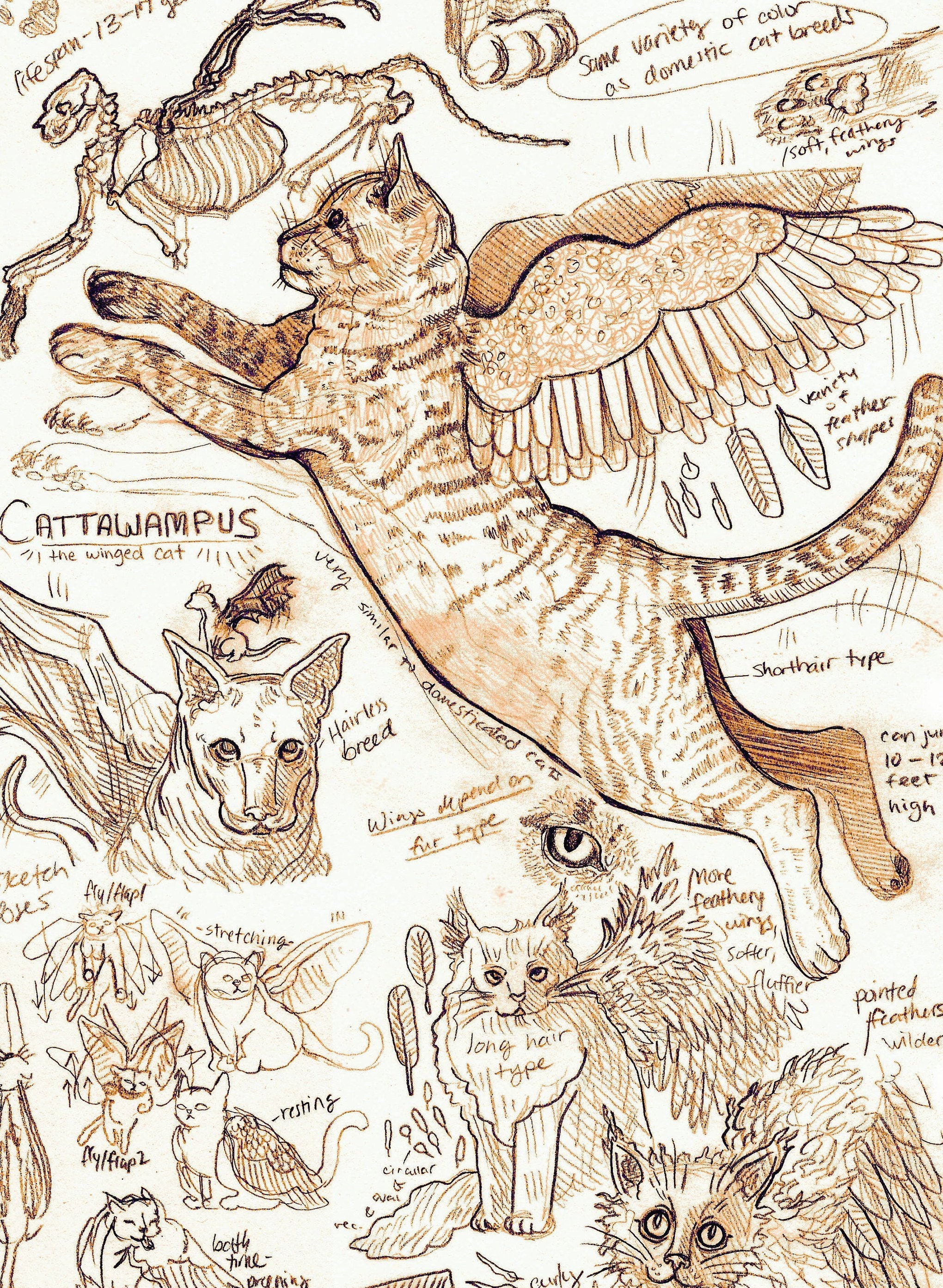 Winged Cat Mythology