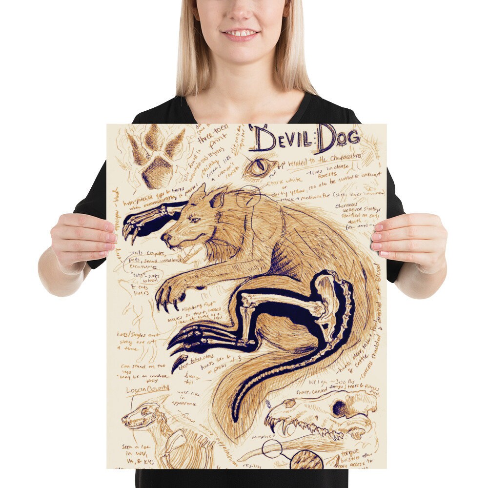 Devil Dog Hellhound Cryptid Anatomy Study Print - Etsy