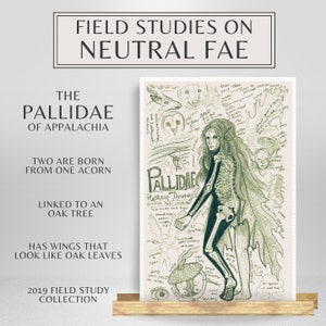 Mythical Fae Anatomy Study Drawings & Prints LARP Creature Journal - Etsy