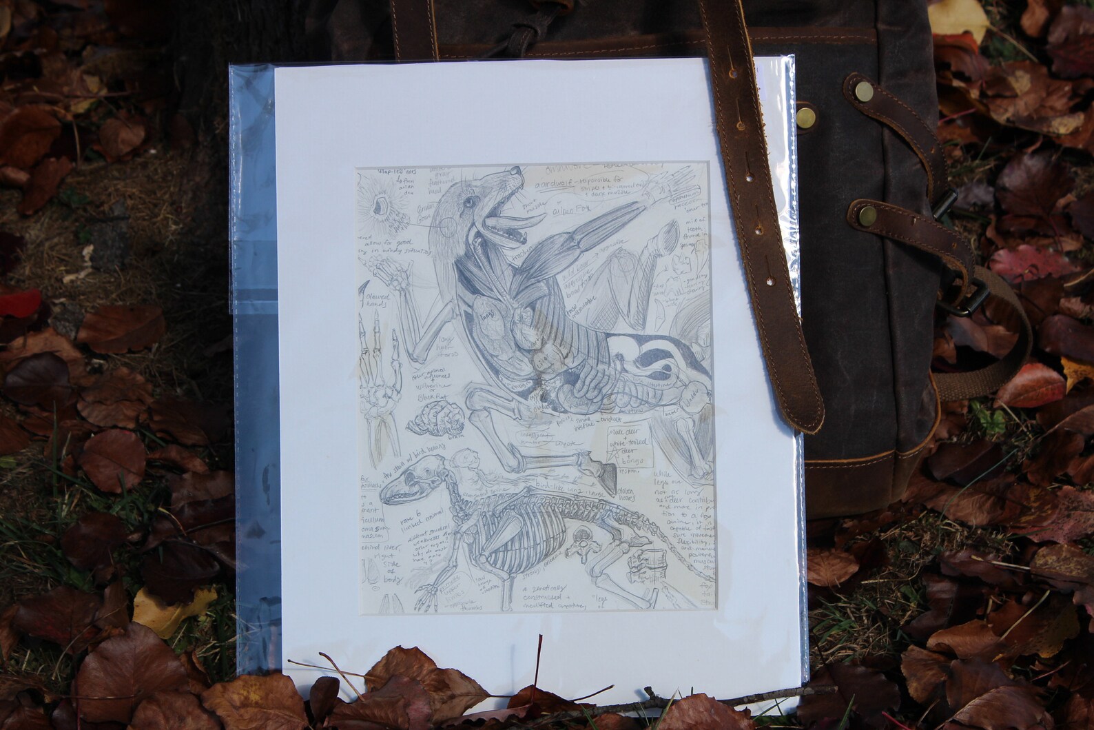 Abbagoochie a Mythical Chimera Cryptid Bestiary Original - Etsy