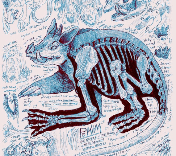 Opossum Monster Anatomy Study Print - Etsy