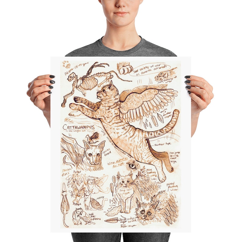 Winged Flying Cryptid Cat Mythology Anatomy Art Print - Etsy UK