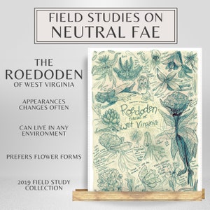 Mythical Fae Anatomy Study Drawings & Prints LARP Creature Journal - Etsy