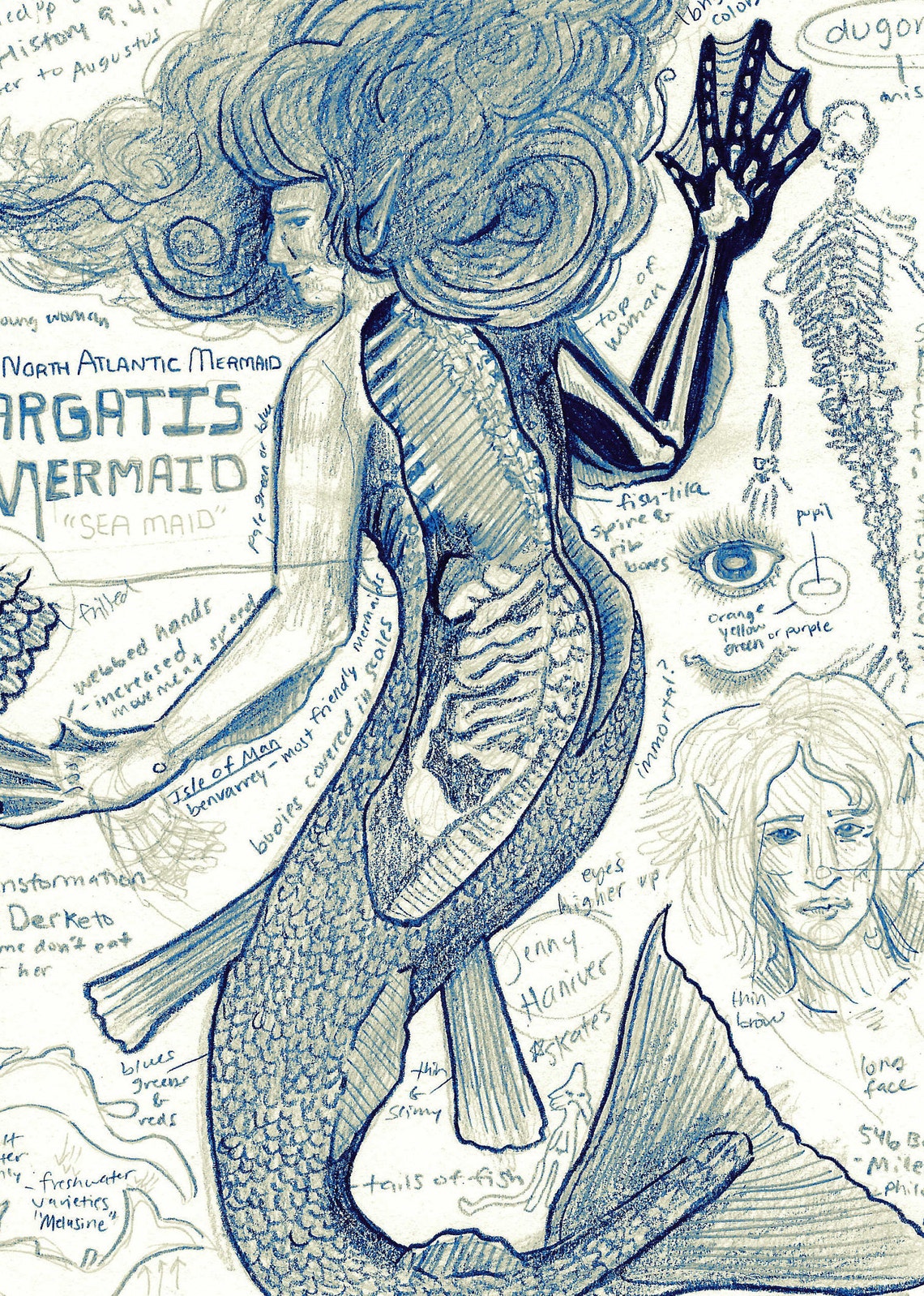 Atargatis Mermaid : a Cryptid Bestiary Study Print - Etsy UK
