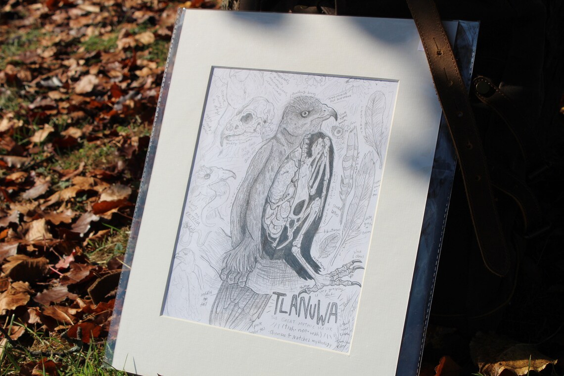 Tlanuwa Hawk Mythological Bird Cryptid Creature Original - Etsy